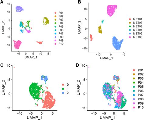 Unsupervised Clustering Analysis Of Tumor Cells And Cancer Associated