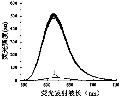 Rhodamine Fluorescent Molecular Probe Using Quinoline Derivative As Identification Group And