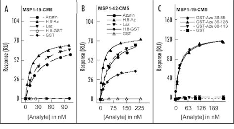 Surface Plasmon Resonance Binding Titrations Depicting The Interactions