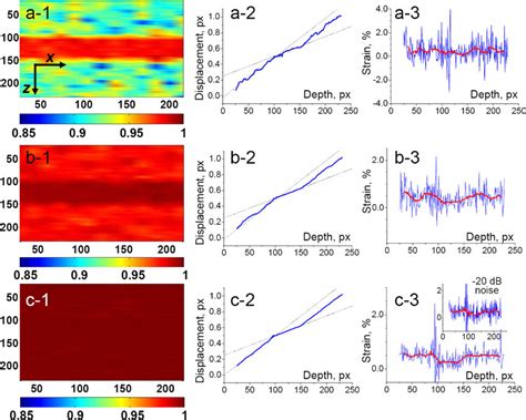 Simulated Cross Correlation Maps And Correlational Speckle Tracking Download Scientific Diagram
