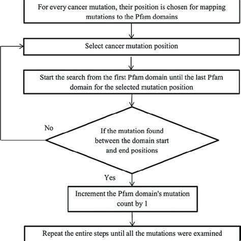 Flowchart For Mapping Mutations To The Protein Domains Download