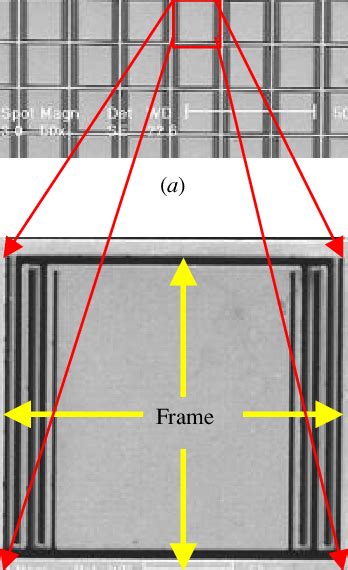 Scanning Electron Micrograph Of The Fpa A Part Of The Fpa B Clear