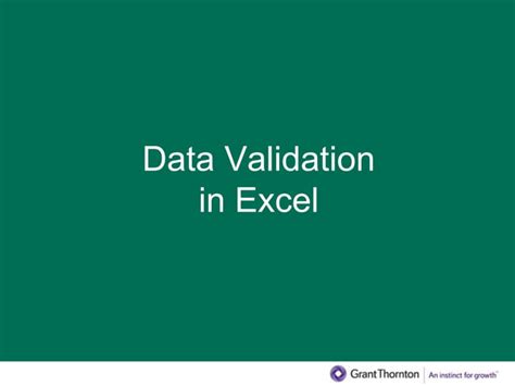 Excel Presentation Data Validation Pptx