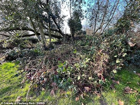 Sex Parties Have Destroyed Our Local Park Why Won T The Council Lock The Gates And Stop Them