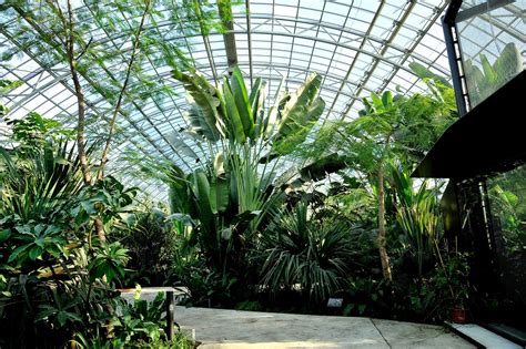 Dans La Foisonnante Muséum National Dhistoire Naturelle