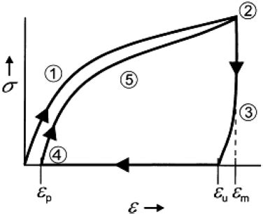 SHAPE MEMORY POLYMER TERMINOLOGY