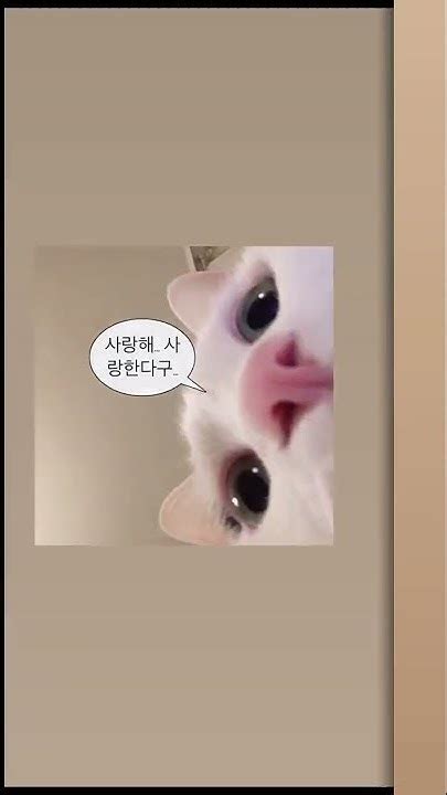 애인한테 쓰기 좋은짤 모음 Youtube