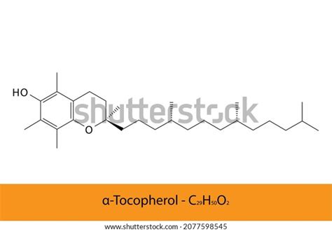 Alpha Tocopherol Skeletal Structure Molecular Formula Stock Vector Royalty Free 2077598545