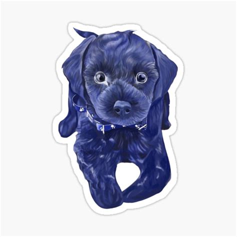 Charlie The Cockapoo Sticker By Echae3 Redbubble