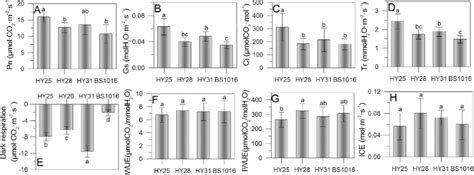Analysis Of Photosynthetic Rate Pn A Stomatal Conductance Gs B