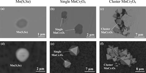 Representative Morphologies And Chemical Composition For Different Download Scientific Diagram