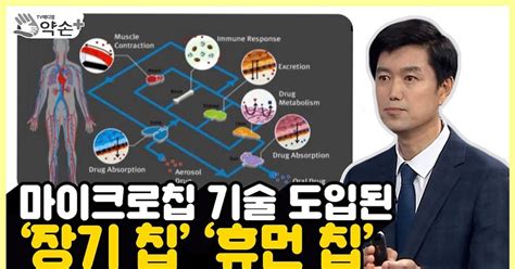 약손 디지털 기술로 날개 단 ‘디지털 헬스 케어 ⑧마이크로칩 기술 도입된 ‘장기 칩 ‘휴먼 칩