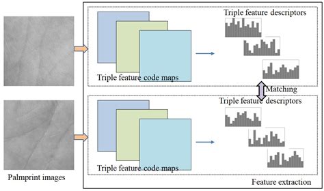 Sensors Free Full Text Triple Type Feature Extraction For Palmprint