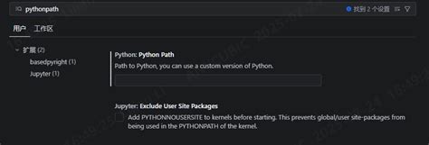Trae配置trae配置python环境 Csdn博客