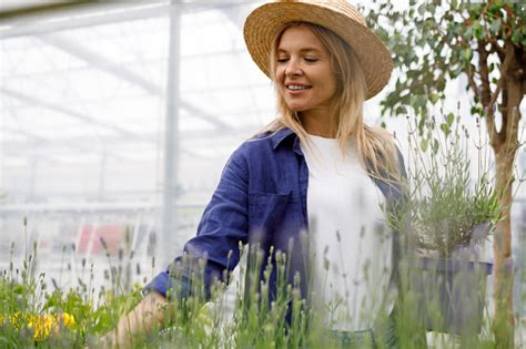 밀짚 모자를 쓴 아름다운 여성이 온실에서 라벤더 꽃을 선택합니다 45 49세에 대한 스톡 사진 및 기타 이미지 45 49세 개화기 검사 보기 Istock