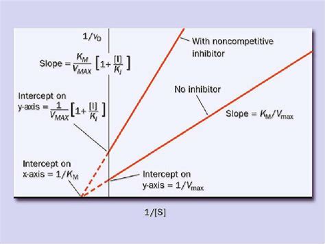functions of proteins презентация доклад проект скачать