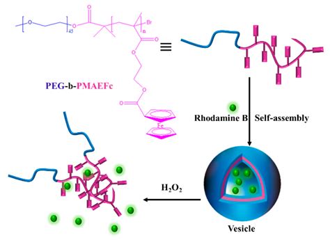 Stimuli Responsive Macromolecular Self Assembly
