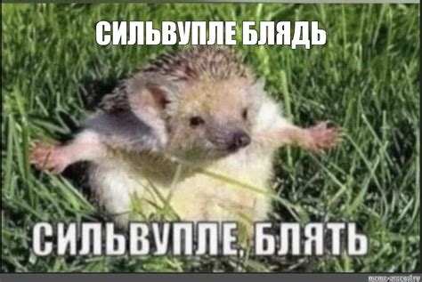 Создать мем "ежик смешной, умный ежик, маленький ежик" - Картинки ...