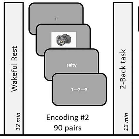 schematic design of experiment 5 encoding session involved judgment of