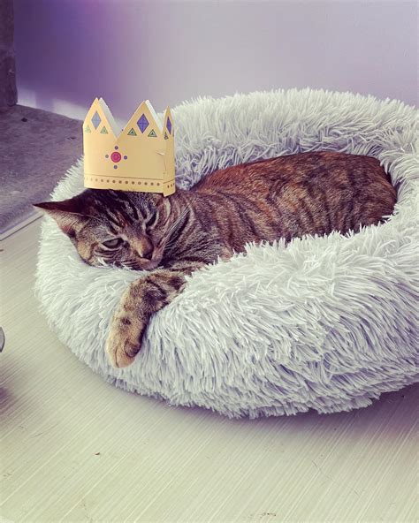 Bryan Dodds Bryan Dodds Added A New Photo