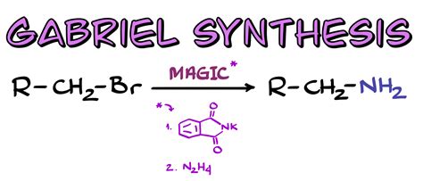 Gabriel Synthesis Phthalimides