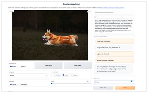 Caption Anything Work4ai