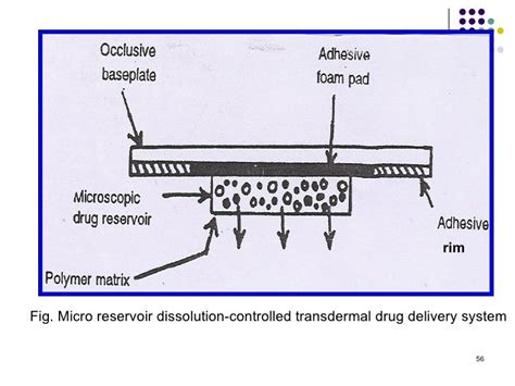 Transdermal Patch Drug Delivery System Srly