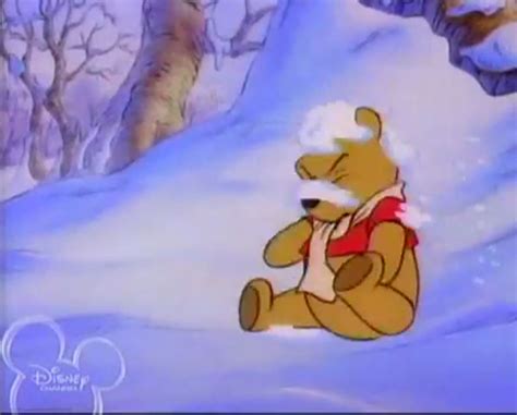 The New Adventures Of Winnie The Pooh Wishing Bear