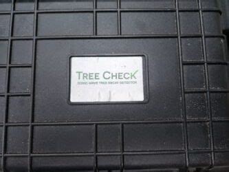 Tree Decay Detection Arbor Tech Tree Care