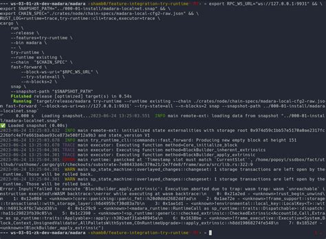 Substrate Try Runtime Sub Command Fast Forward Error Main Runtime Panicked At