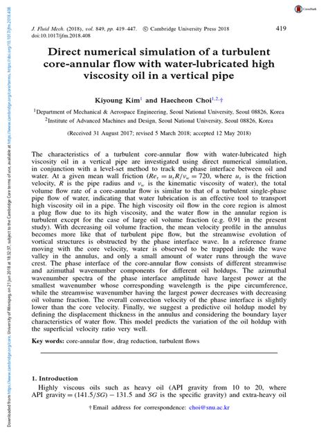 direct numerical simulation of a turbulent core annular flow with water