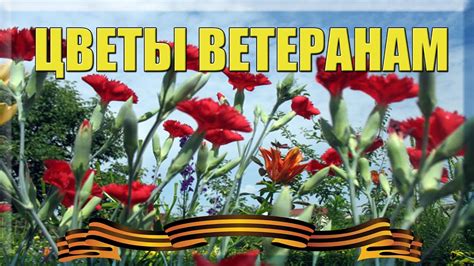 Цветы Ветеранам... С Днем Победы 9 Мая! - YouTube