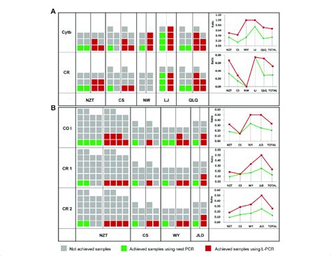 Comparison Of Ancient Sample Amplification Using A Nested Pcr Method