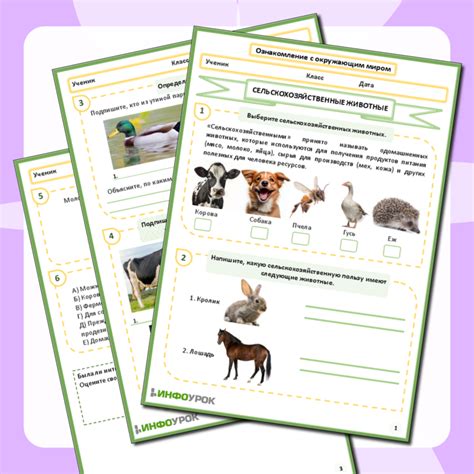 Рабочий лист Сельскохозяйственные животные