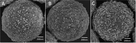An Aptasensor Based On The Microscopic Enumeration Of Encoding Gold Nanoparticles For The