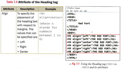 cbse notes for class 7 computer in action basic html tags cbse tuts