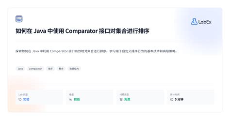 如何在 Java 中使用 Comparator 接口对集合进行排序 Labex