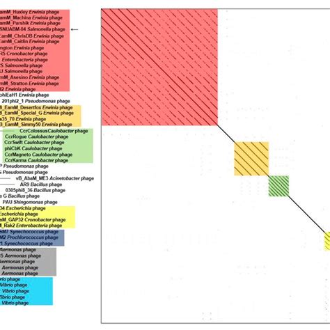 Comparative Analysis Of Psal Snuabm 04 Using Major Capsid Protein Download Scientific Diagram