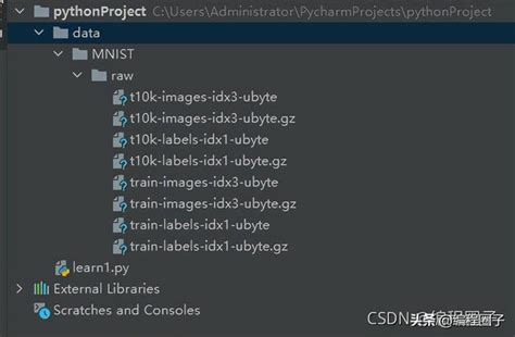 Pytorch學習筆記 5 Torchvision庫 每日頭條
