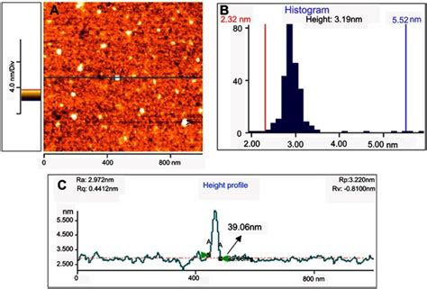 Solubility Of Nano Curcumin Left And Curcumin Right In Water