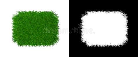 Grass Name Plate Isolated Element Design Stock Illustration