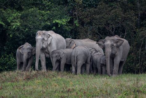 Monitoring Bgwriter Latches In Postgresql Postgresql Dba