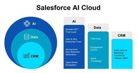 Leveraging Salesforce For Proactive Data Driven Decision Making Ness