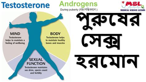 পুরুষের সেক্স হরমোন টেস্টোস্টেরন Male Sex Hormone Testosterone Bangla Dr Shamim Hosen Youtube