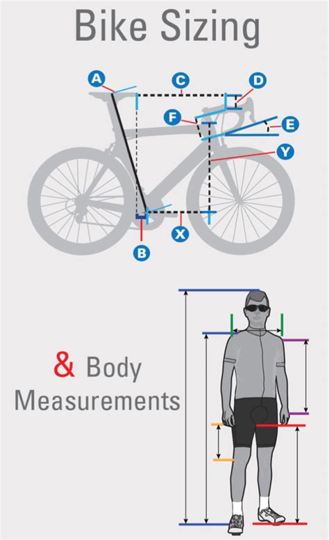 What Size Frame Do I Need On A Bike at Don Sanders blog