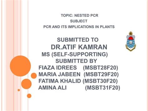 Nested Pcr Detecting Gmo Ppt