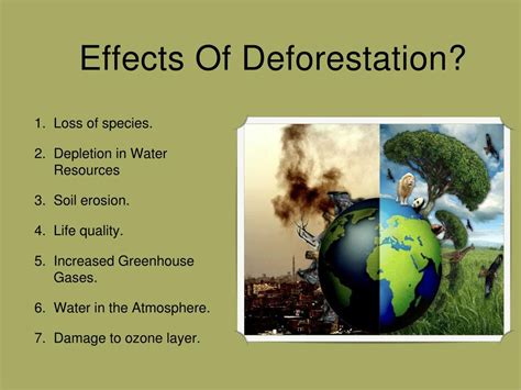 Ppt Deforestation And Its Effects Powerpoint Presentation Free Download Id7772842