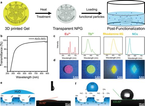 a the post‐functional application of npg schematic diagram of the