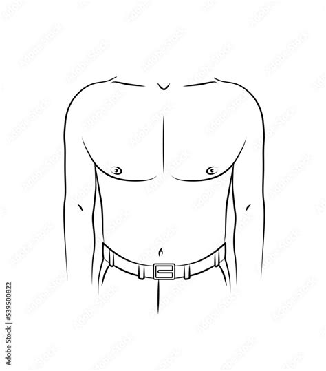 Nude Men Torso And Trousers The Human Body Inked Black Lines Sketch