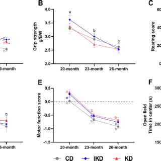 Behavior Tests Of Cognitive Function In Male Mice At 23 And 26 Months Download Scientific